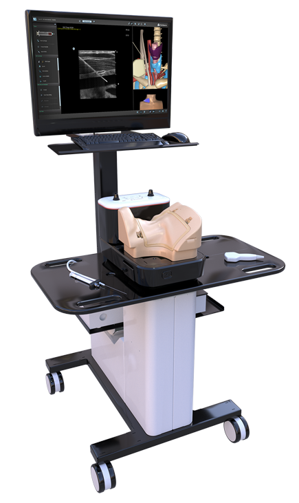 PERC Mentor Suite - Surgical Science