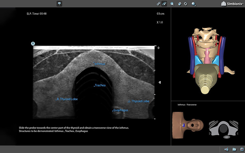 Neck Module - Surgical Science