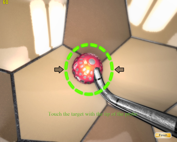 Fundamentals Of Arthroscopic Surgery Training (FAST) Module