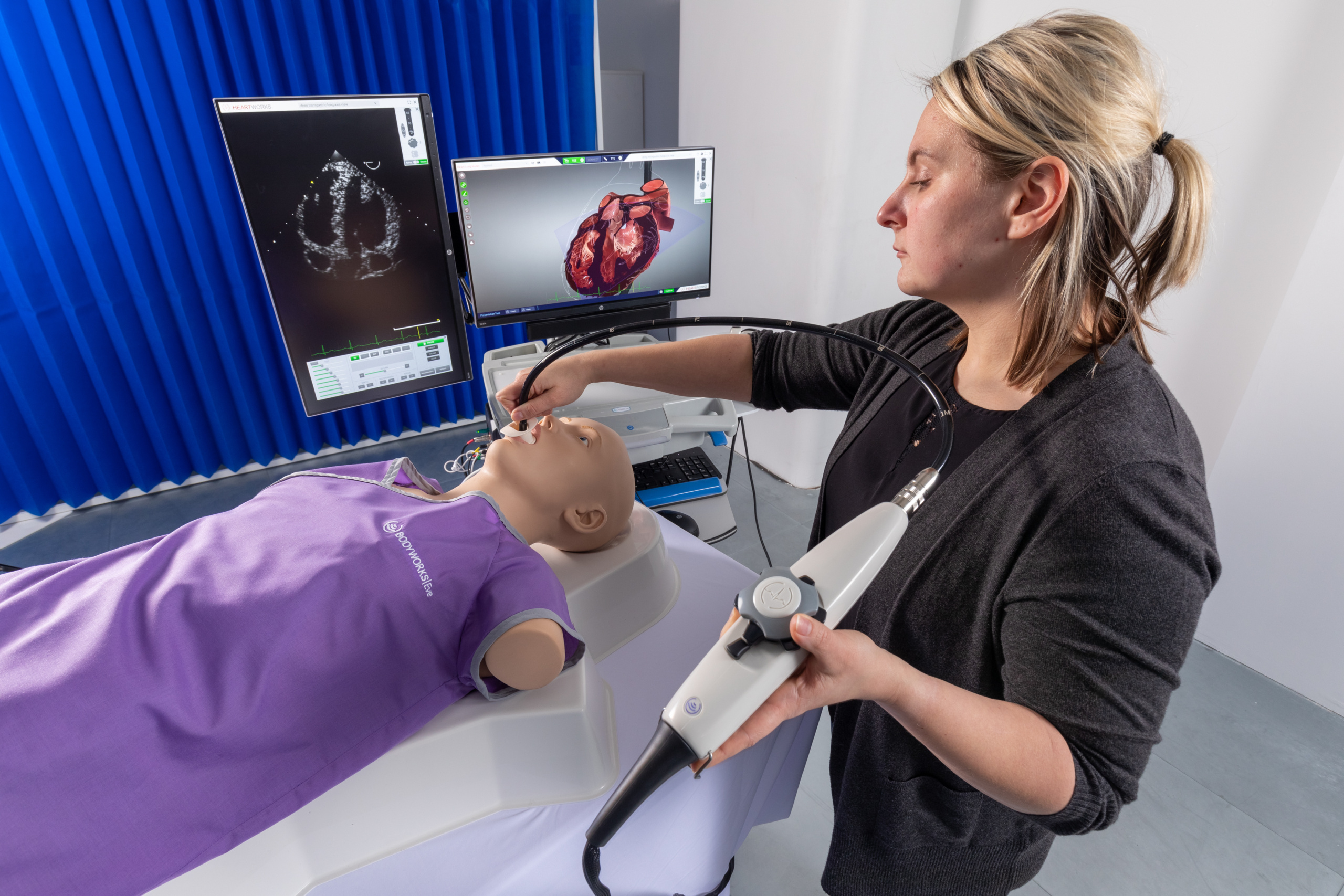 A novel combined approach to simulation training in cardiac anesthesia ...
