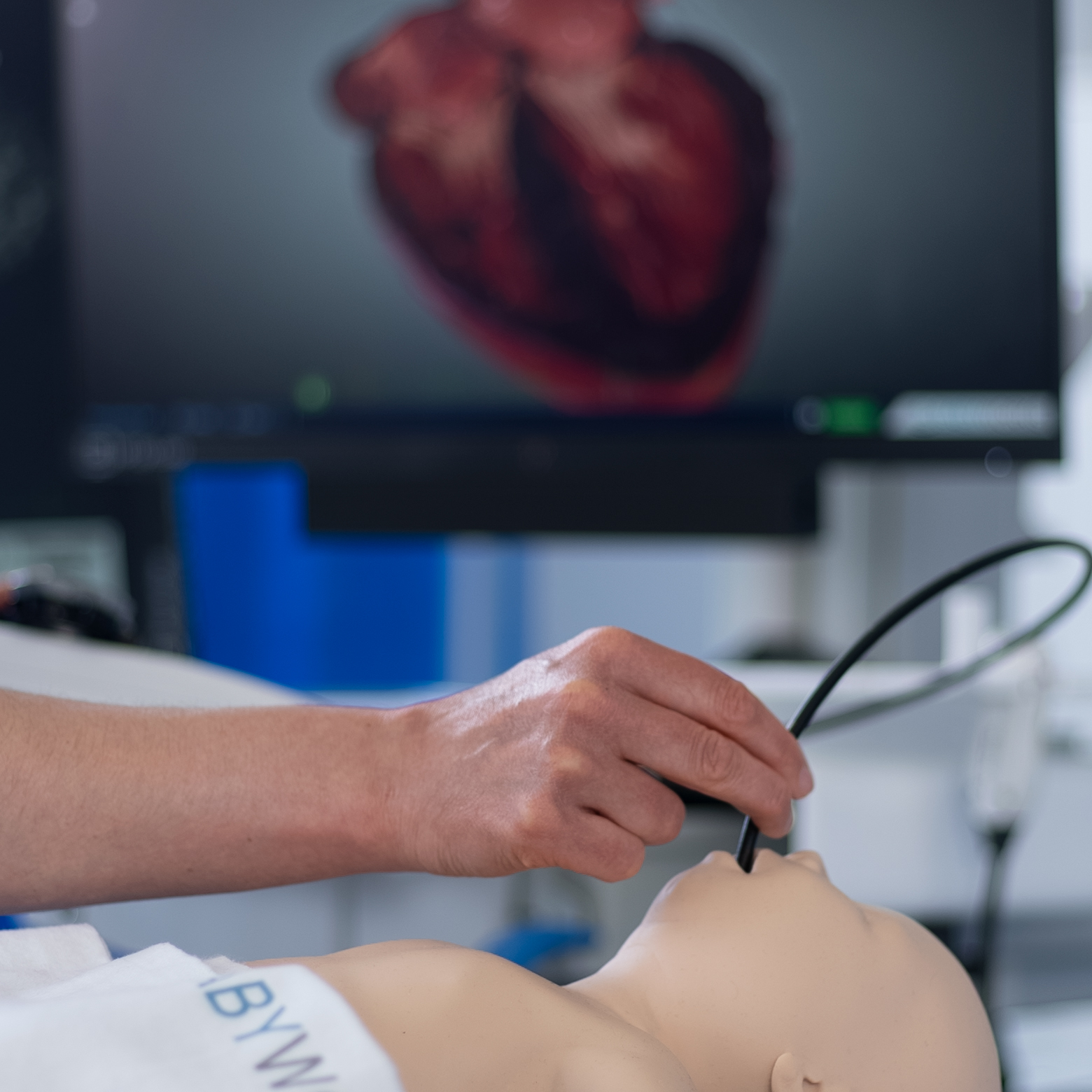 BabyWorks Transesophageal Echocardiography (TEE) - Surgical Science